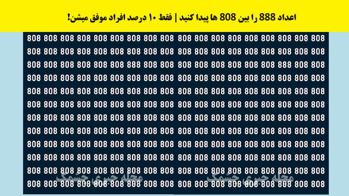 اعداد 888 را بین 808 ها پیدا کنید | فقط 10 درصد افراد موفق میشن!