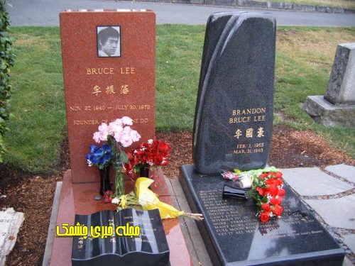 سرنوشت تلخ خانواده بروس لی پس از مرگ او + عکس های خانوادگی بروس لی